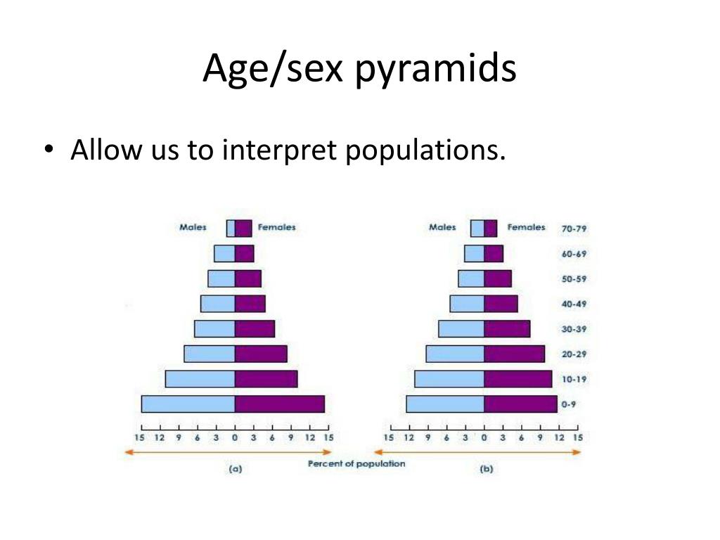 Ppt Geographic Skills Year 8 Geography Powerpoint Presentation Free