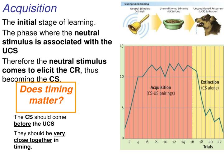 PPT - Psychology LEARNING “Classical Conditioning ” PowerPoint ...