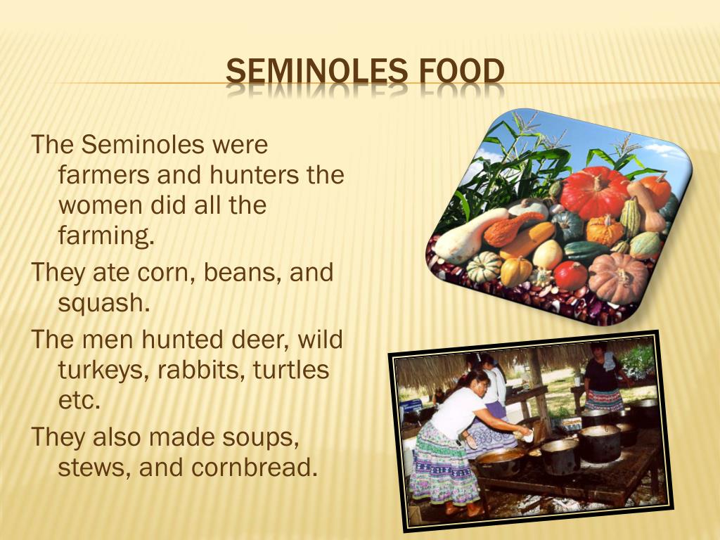 PPT - Seminole PowerPoint Presentation, free download - ID:2837208
