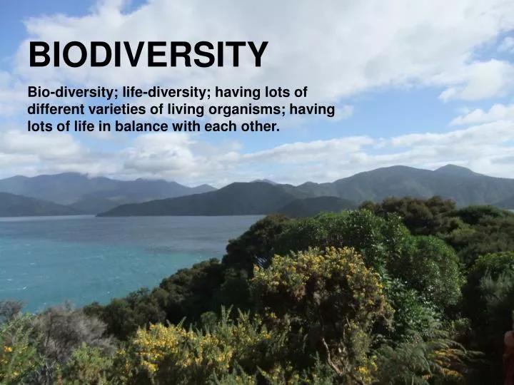 PPT - BIODIVERSITY PowerPoint Presentation, free download - ID:2837352
