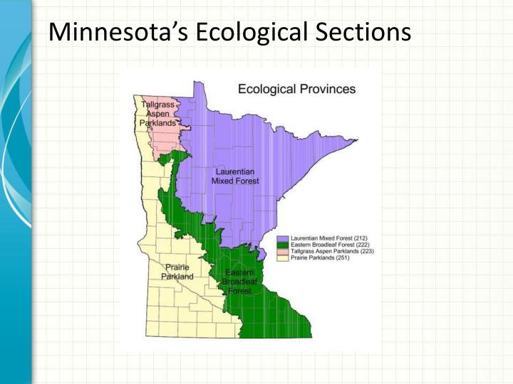 PPT - Population Management PowerPoint Presentation - ID:2837619