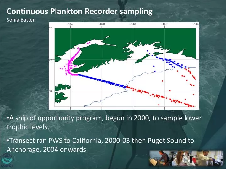 PPT - Continuous Plankton Recorder sampling Sonia Batten PowerPoint ...