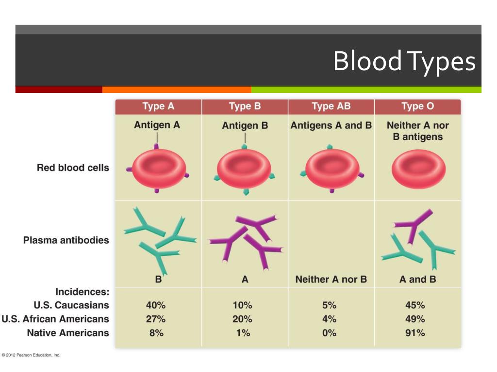 PPT - Cardiovascular System – Heart and Blood Vessels PowerPoint ...