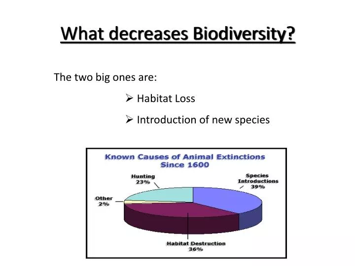 PPT - What decreases Biodiversity? PowerPoint Presentation, free ...