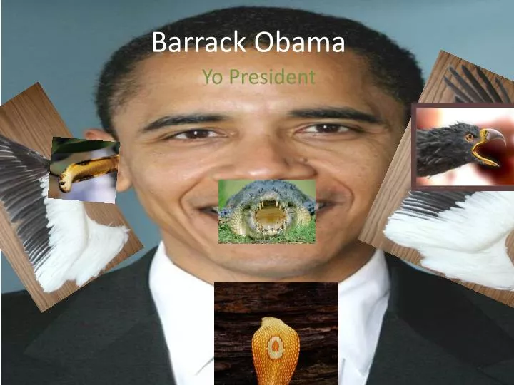 PPT - Barrack Obama PowerPoint Presentation, free download - ID:2838822
