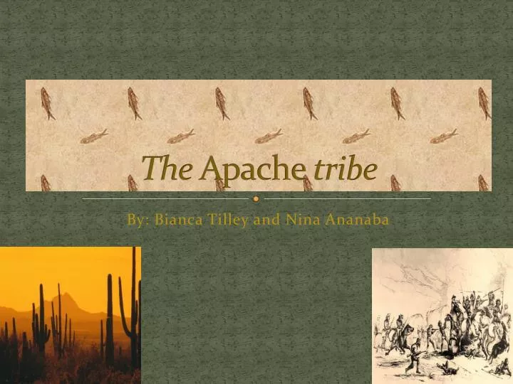 PPT - The Apache tribe PowerPoint Presentation, free download - ID:2838831