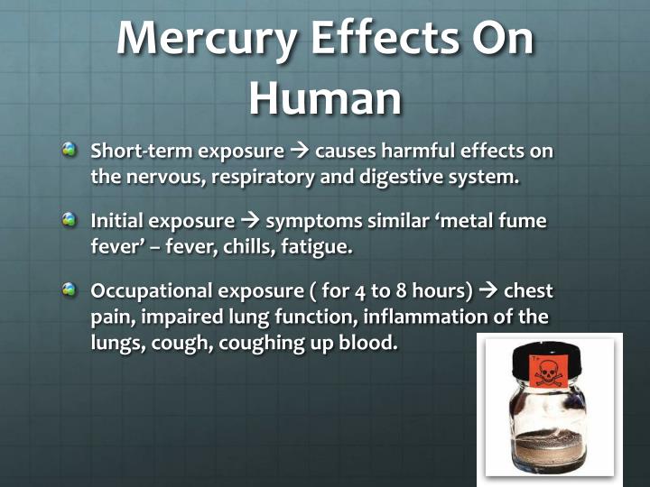 PPT - Mercury (Hg) PowerPoint Presentation - ID:2839106