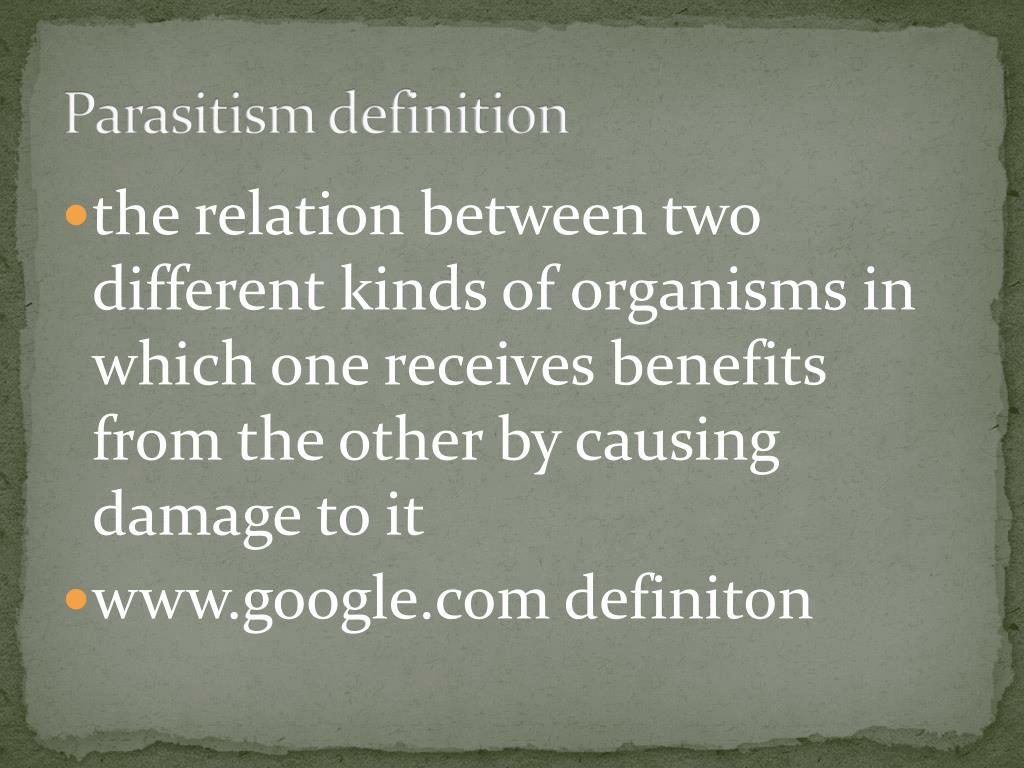 PPT - Gunnar and Jonathan’s symbiosis project PowerPoint Presentation ...