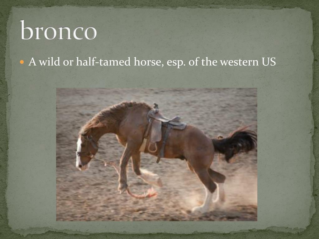 PPT - Vocabulary for “Kicking Back Cowboy Style – A History of Rodeos ...