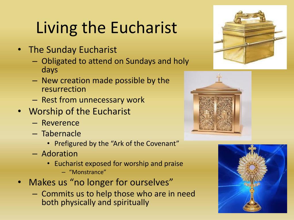 PPT - Celebration of the Eucharist PowerPoint Presentation, free ...