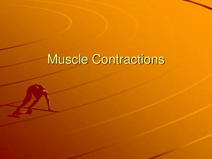 PPT - Muscle Contractions PowerPoint Presentation, free download - ID ... PPT - Muscle Contractions PowerPoint Presentation, free download - ID ...