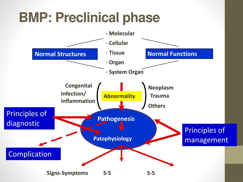 PPT - FAMILY MEDICINE SYSTEM PowerPoint Presentation, free download ...