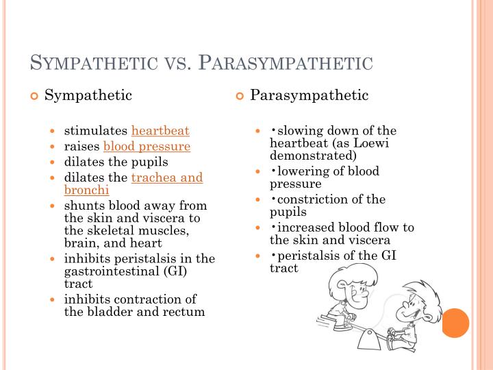 PPT - Somewhere . . . Over the brainbow . . . PowerPoint Presentation ...