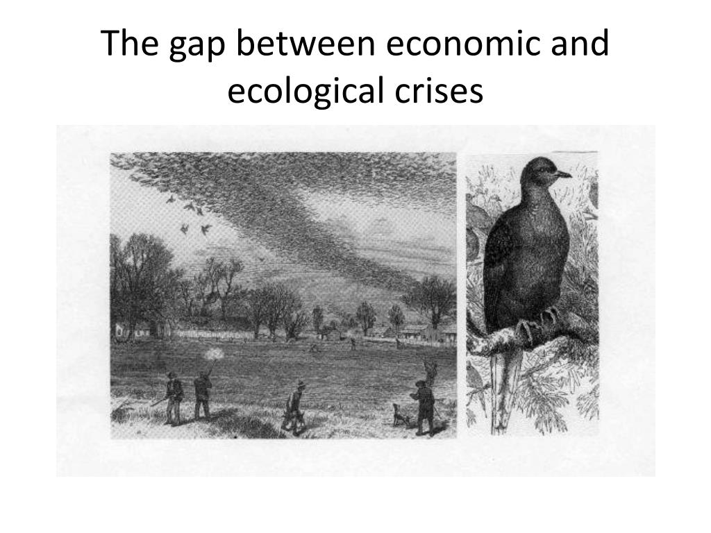 PPT - The Second Contradiction of Capitalism (Eco-Marxism) PowerPoint ...