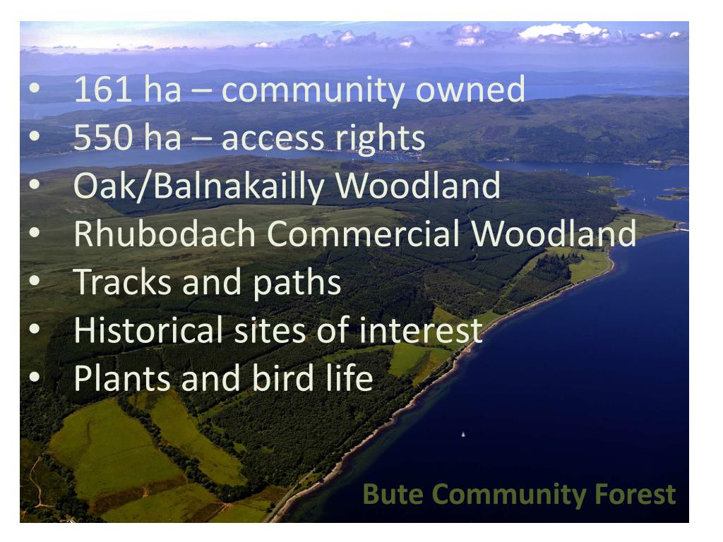 PPT - Bute Community Land Company & Bute Forest Ltd PowerPoint ...