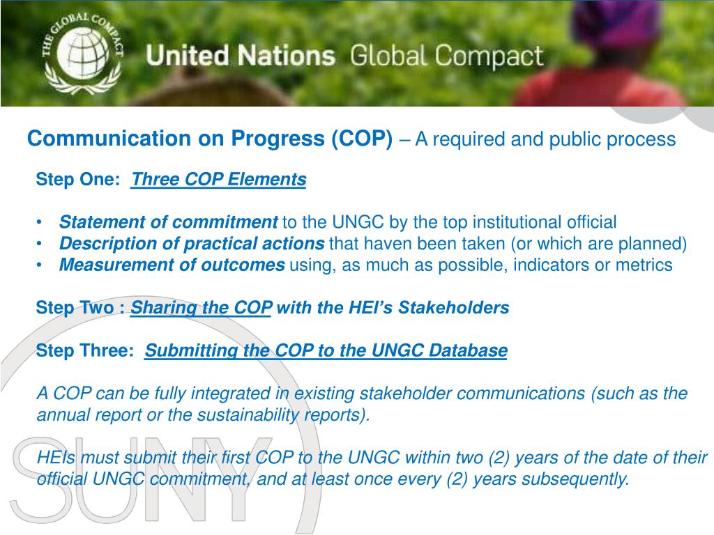PPT - The United Nations Global Compact, Sustainability and ...