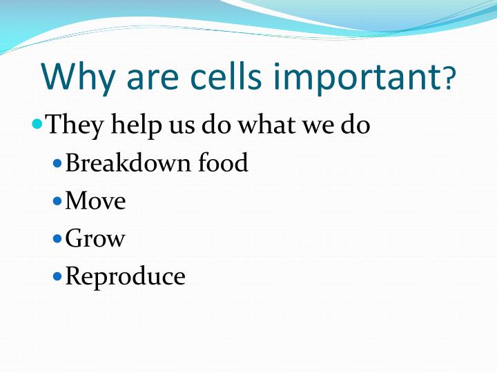 PPT - Chapter 16: Section 1 The World of Cells PowerPoint Presentation ...