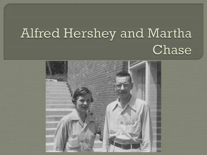 PPT - Alfred Hershey and Martha Chase PowerPoint Presentation, free download - ID:2843840