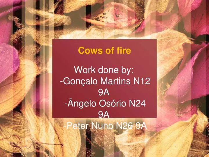 PPT - Cows of fire PowerPoint Presentation, free download - ID:2844728