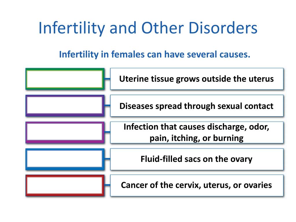 PPT - Female Reproductive Organs PowerPoint Presentation, free download ...