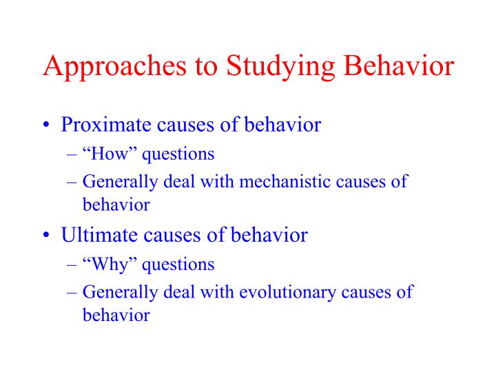 PPT - Genes and Behavior PowerPoint Presentation - ID:2845563