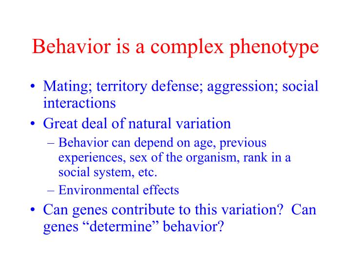 PPT - Genes and Behavior PowerPoint Presentation - ID:2845563