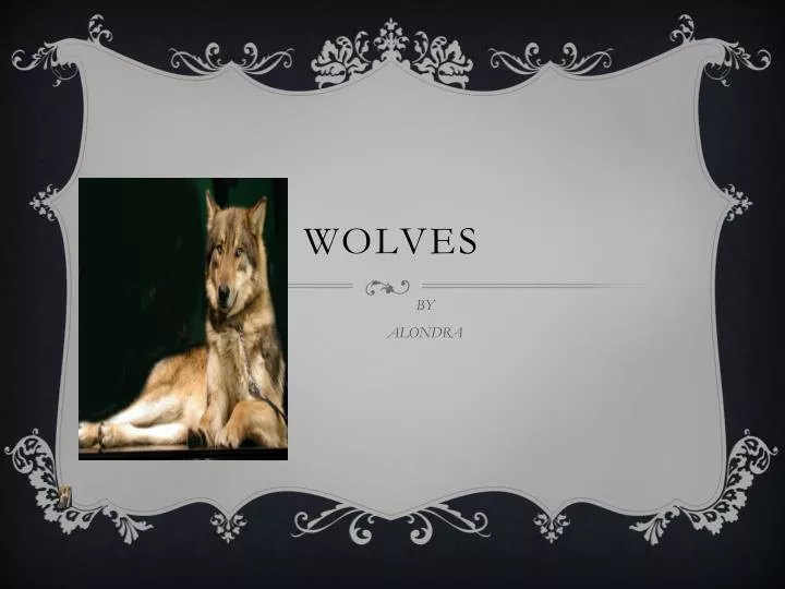 PPT - wolves PowerPoint Presentation, free download - ID:2846070