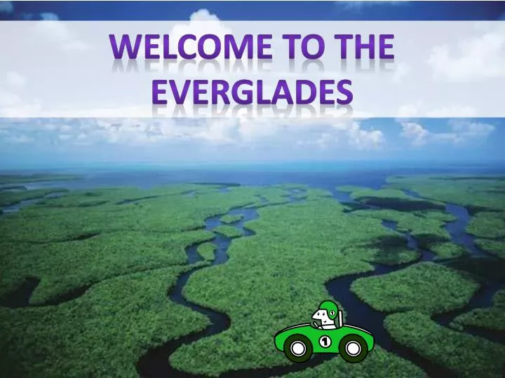 PPT - Welcome to the Everglades PowerPoint Presentation, free download ...