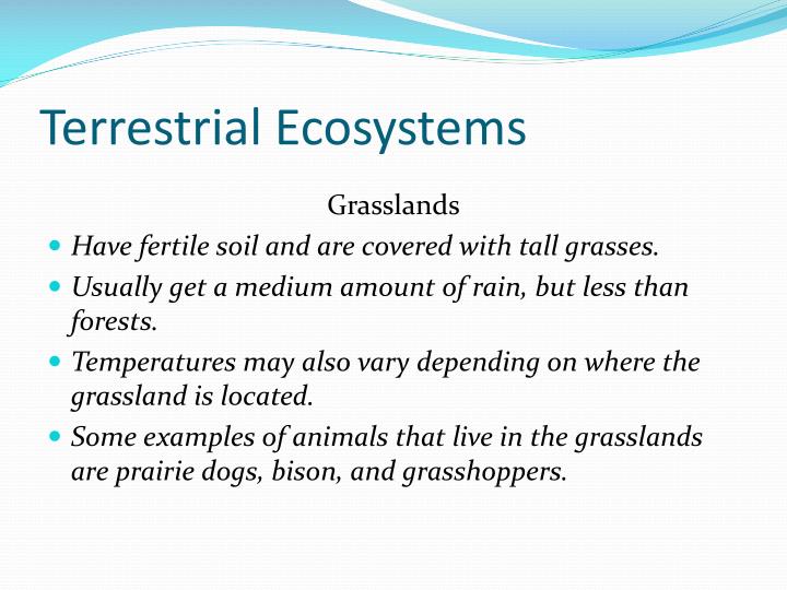 PPT - Types of Ecosystems PowerPoint Presentation - ID:2846653