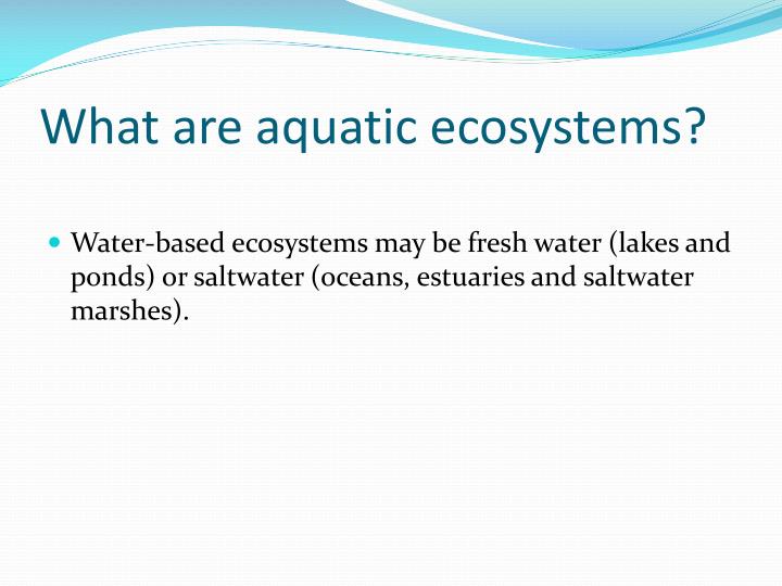 PPT - Types of Ecosystems PowerPoint Presentation - ID:2846653