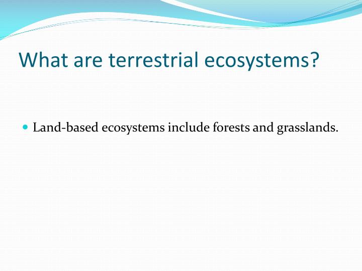 PPT - Types of Ecosystems PowerPoint Presentation - ID:2846653
