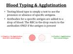 PPT - ABO Blood Groups PowerPoint Presentation - ID:2847004