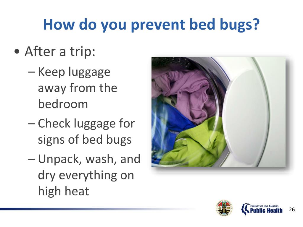 PPT - Bed Bugs Los Angeles County Department of Public Health ...