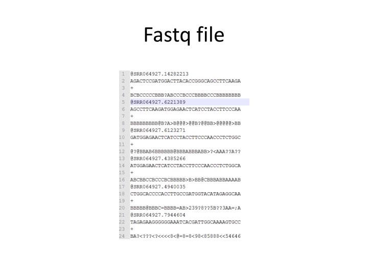 PPT - NGS data format and General Quality Control PowerPoint ...