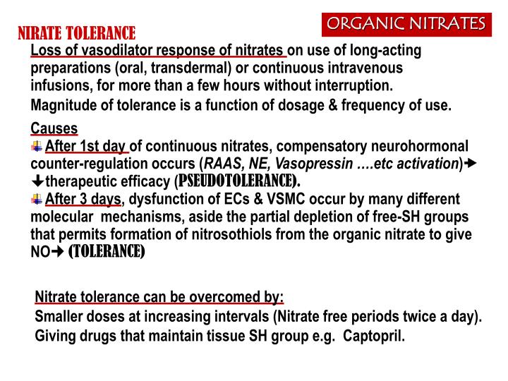 PPT - ANTIANGINAL DRUGS PowerPoint Presentation - ID:2848199