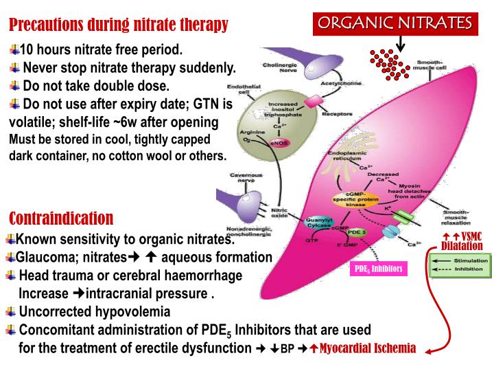PPT - ANTIANGINAL DRUGS PowerPoint Presentation - ID:2848199