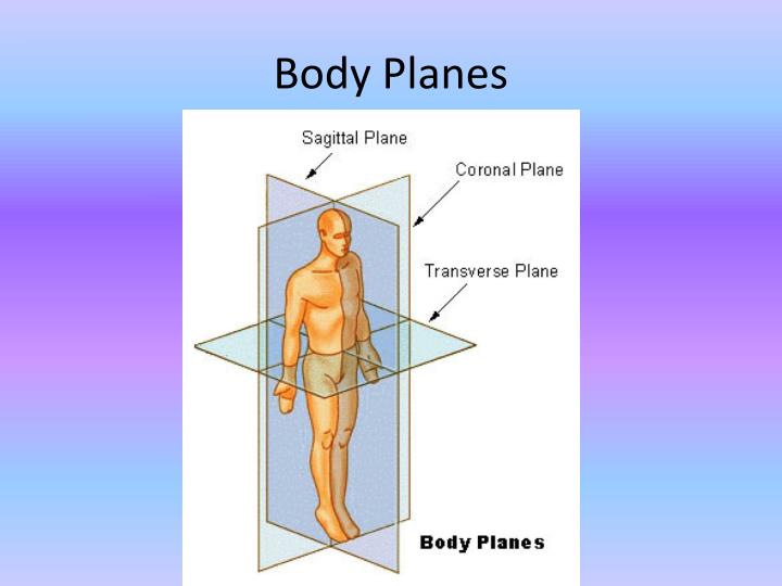 Planes Of The Body