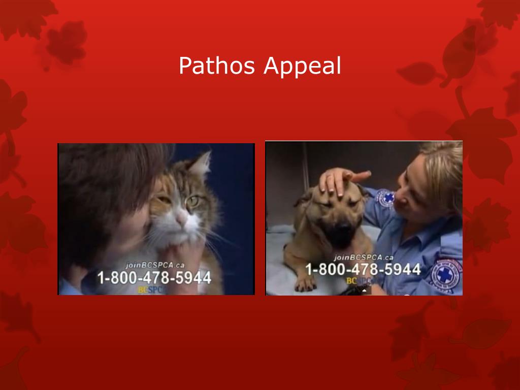 PPT - BC SPCA Animal Cruelty PowerPoint Presentation, free download ...