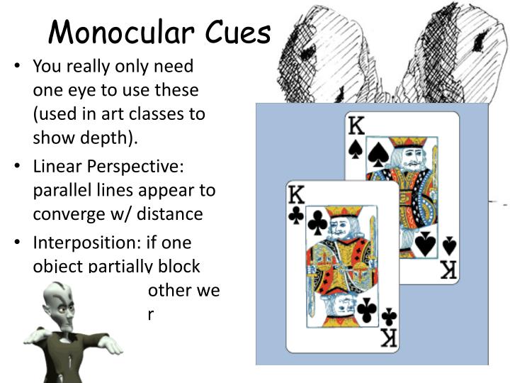 PPT - Sensory Adaptation PowerPoint Presentation - ID:2848998