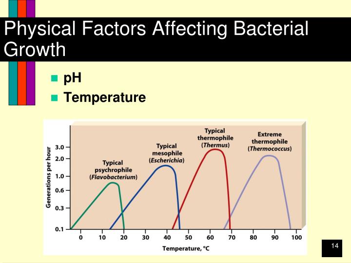 PPT - Growth and Cell Division PowerPoint Presentation - ID:2849588