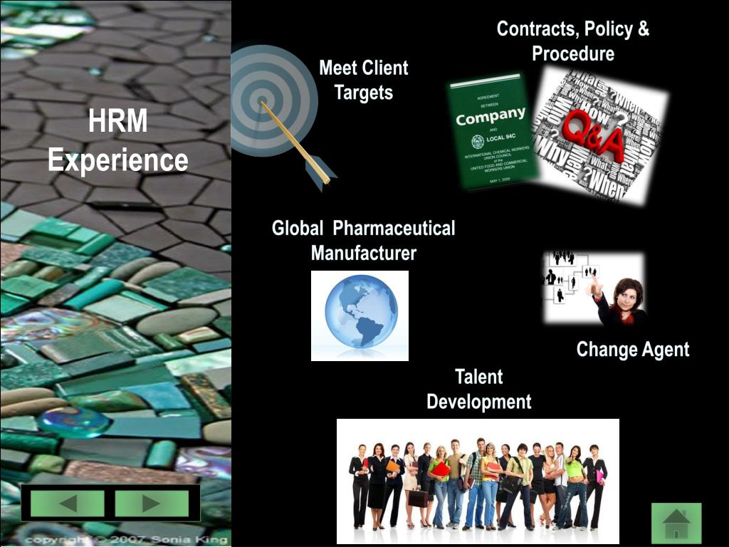 PPT - Helen M. Nelson, PHR Experienced HR Professional PowerPoint ...