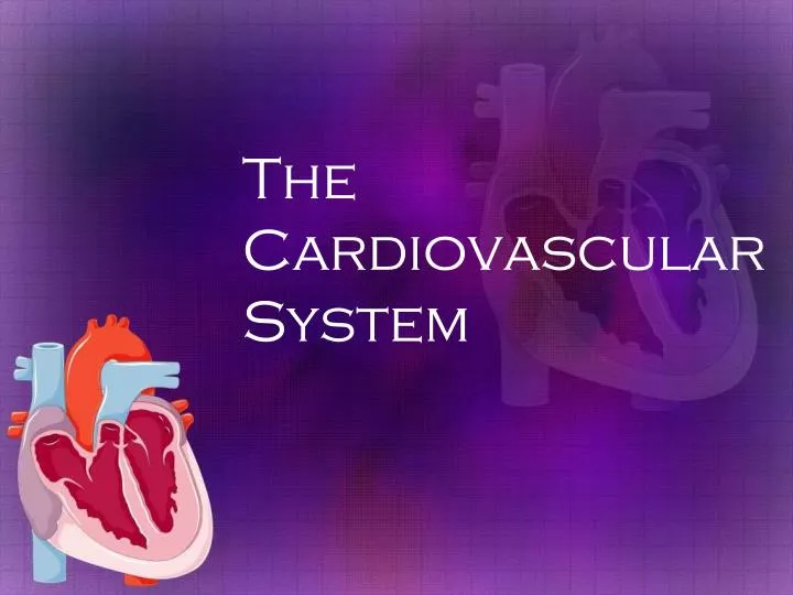 Ppt The Cardiovascular System Powerpoint Presentation Free Download