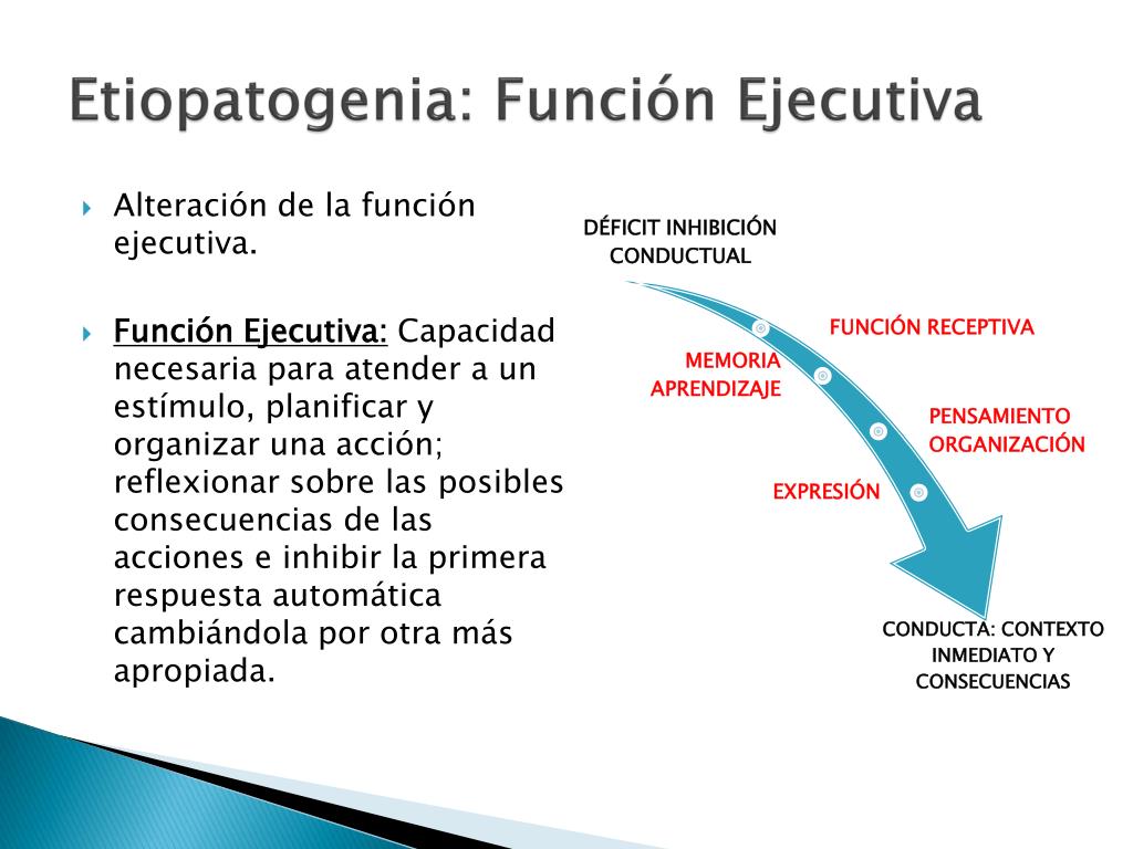 PPT - Trastorno de Déficit Atencional e Hiperactividad (TDAH ...