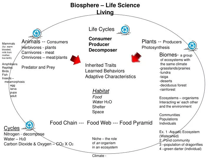 PPT - Biosphere – Life Science Living PowerPoint Presentation, free ...