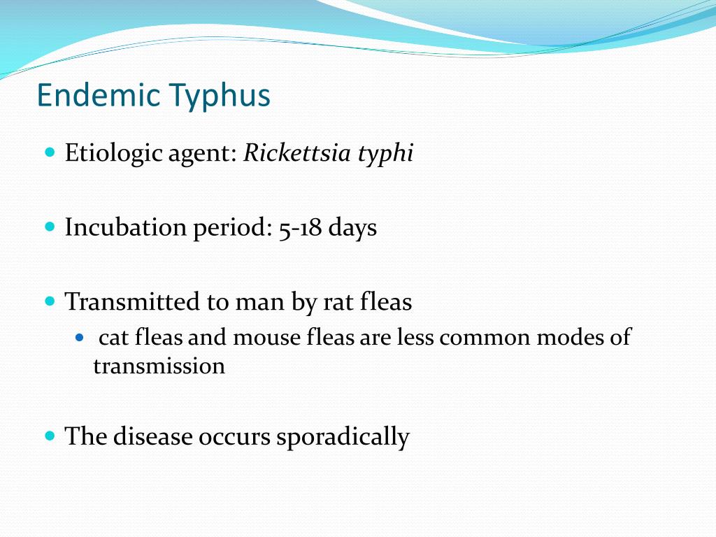 PPT - Rickettsial (Spotted & Typhus Fevers) & Related Infections ...