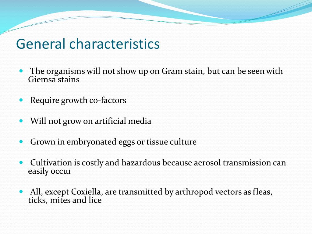 PPT - Rickettsial (Spotted & Typhus Fevers) & Related Infections ...