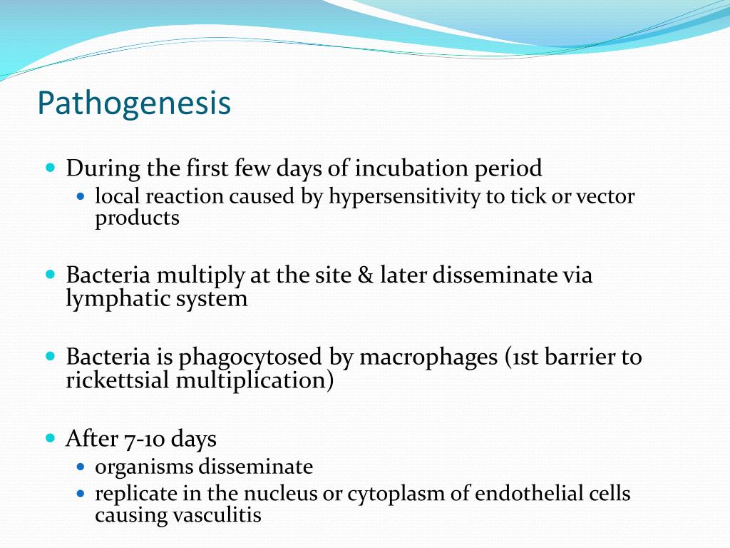 PPT - Rickettsial (Spotted & Typhus Fevers) & Related Infections ...