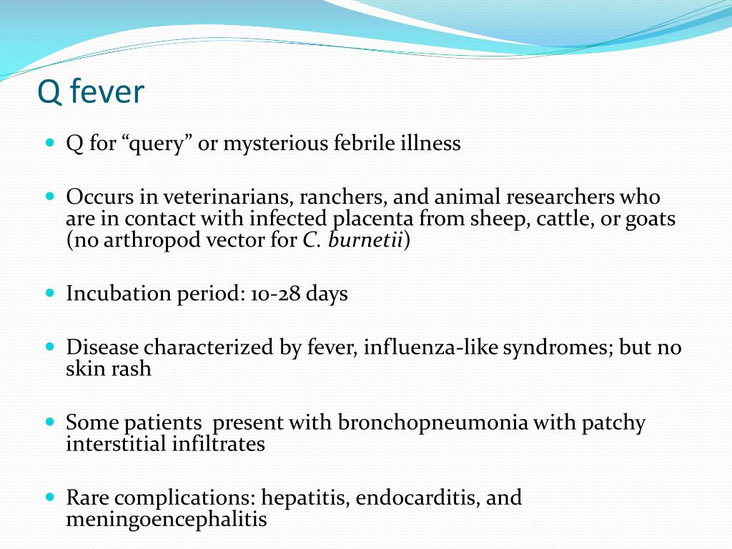 PPT - Rickettsial (Spotted & Typhus Fevers) & Related Infections ...