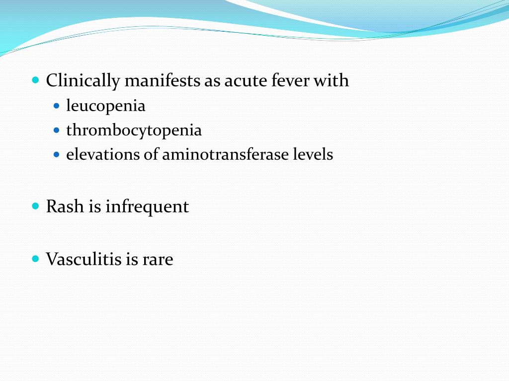 PPT - Rickettsial (Spotted & Typhus Fevers) & Related Infections ...