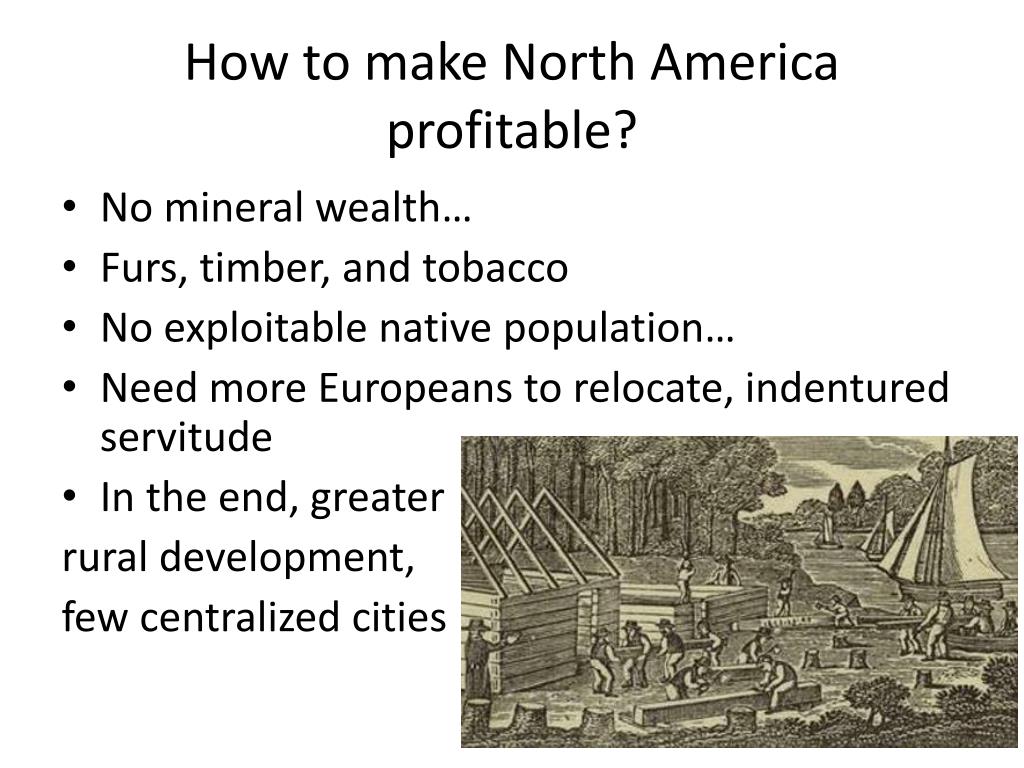 PPT - Africa and the Arrival of Europeans PowerPoint Presentation, free ...